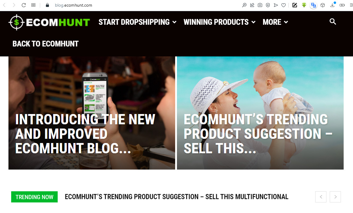 Ecomhunt Review – Dropshipping product research tool - ECOMSPRINT ...